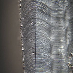 Firearm and Toolmark Section