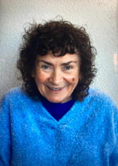 Washoe County Sheriff’s Office Deputies seek missing person out of ...